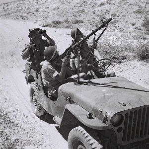 דמותו של שמשון הגיבור